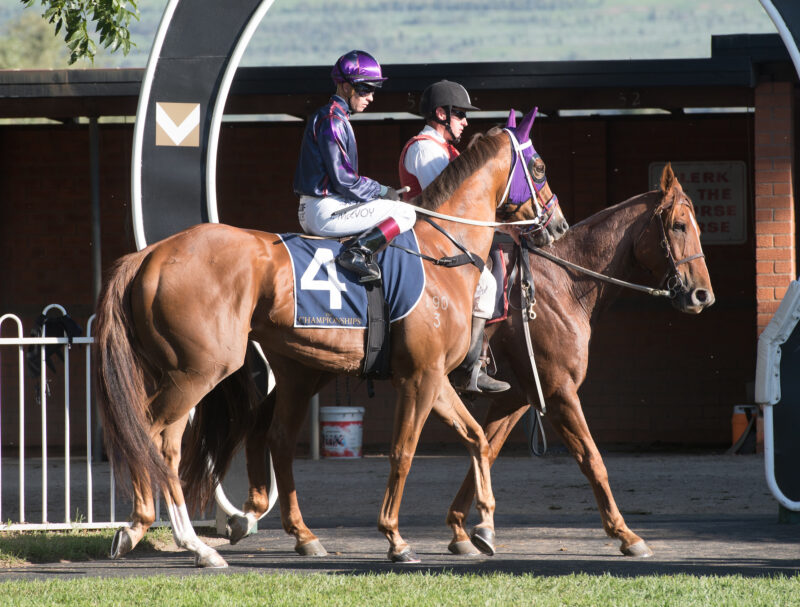 Summer Sizzler Race Day Review - Muswellbrook Race Club
