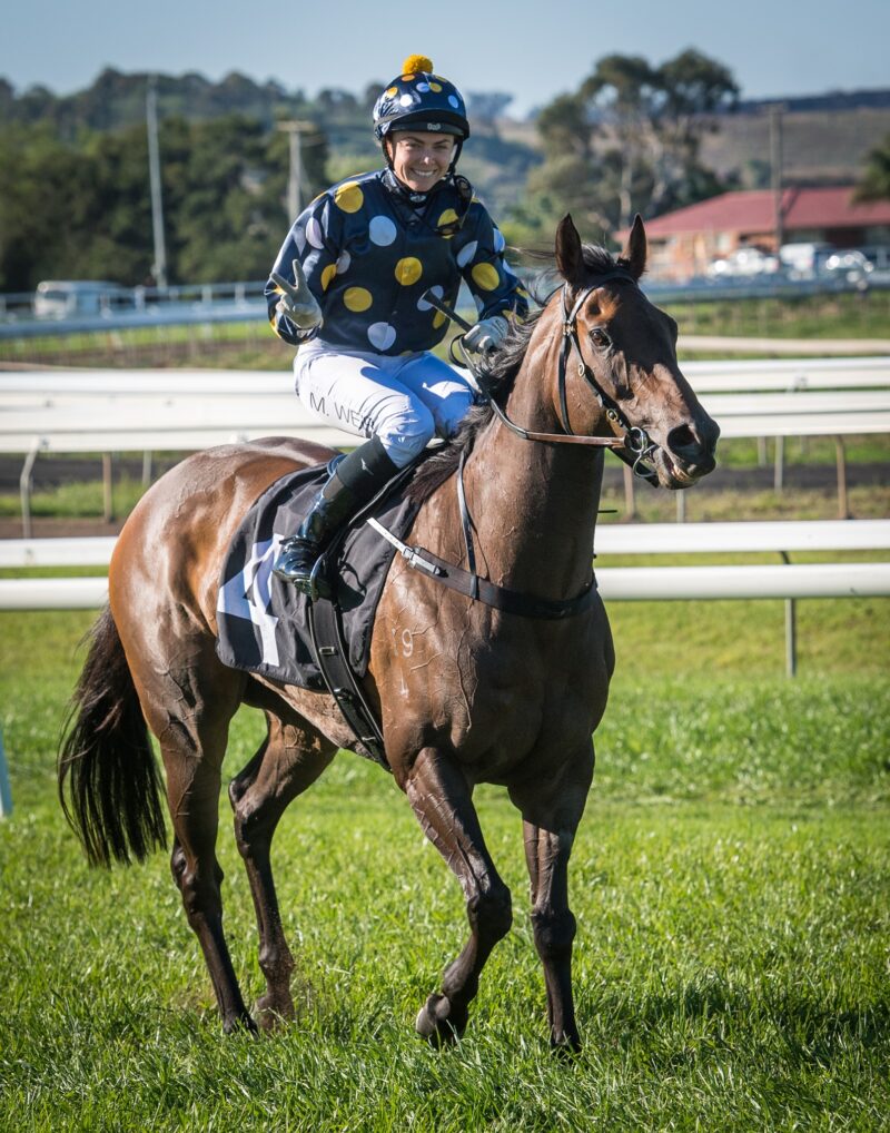 Locals Dominate on Melbourne Cup Day - Muswellbrook Race Club