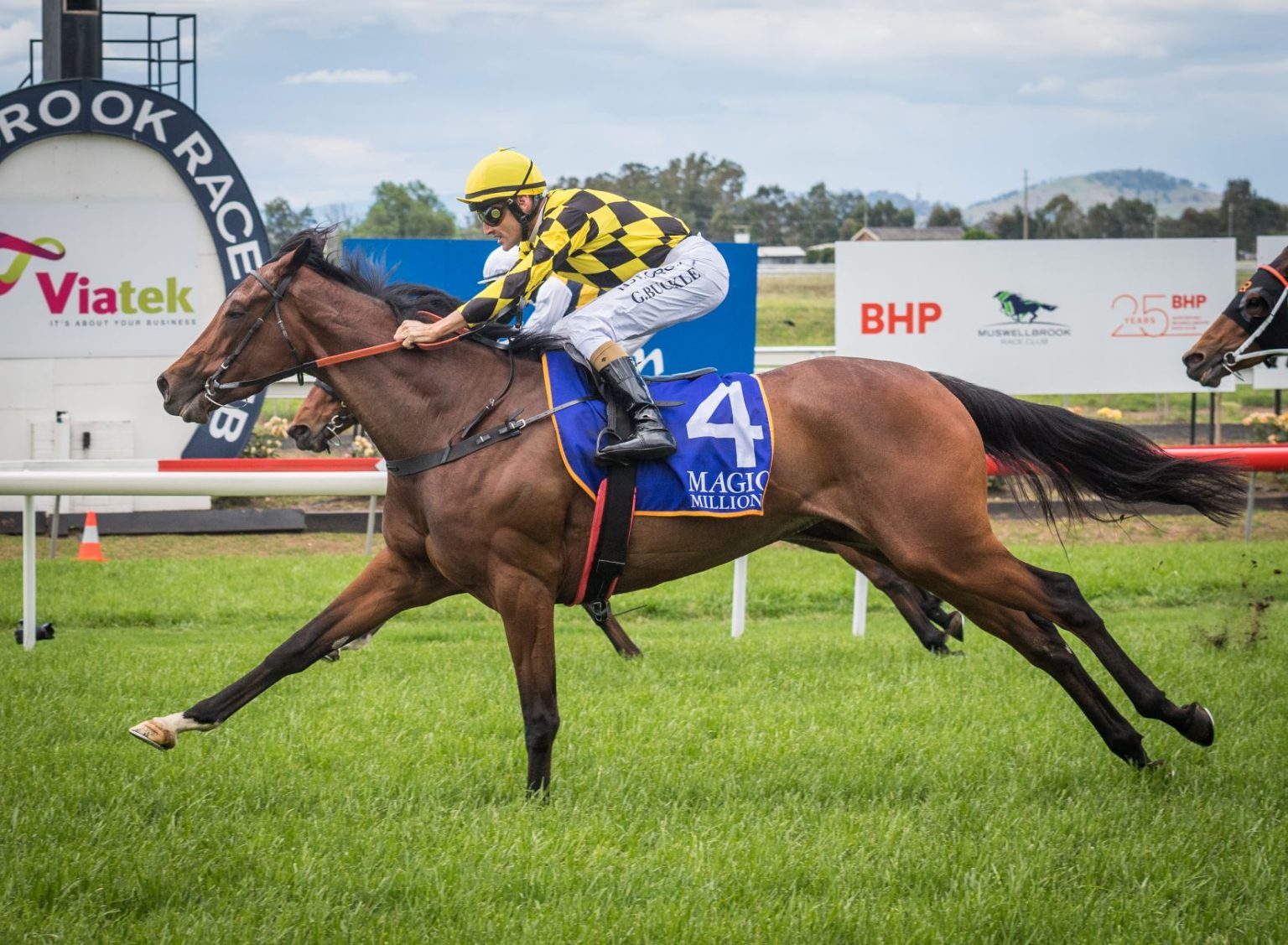 Tradies Day Race Preview And Tips - Muswellbrook Race Club